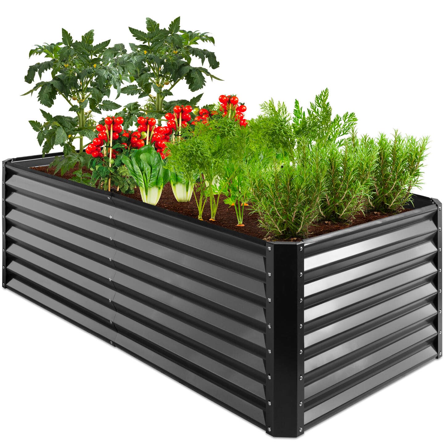 Home depot garden store