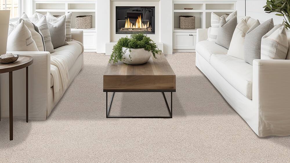 Carpet - The Home Depot