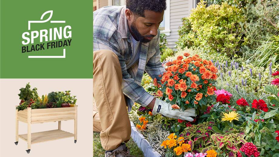 Spring Black Friday - The Home Depot