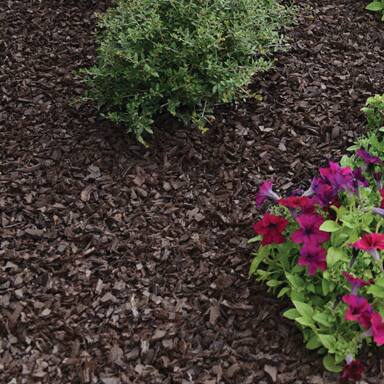 Vigoro - The Home Depot