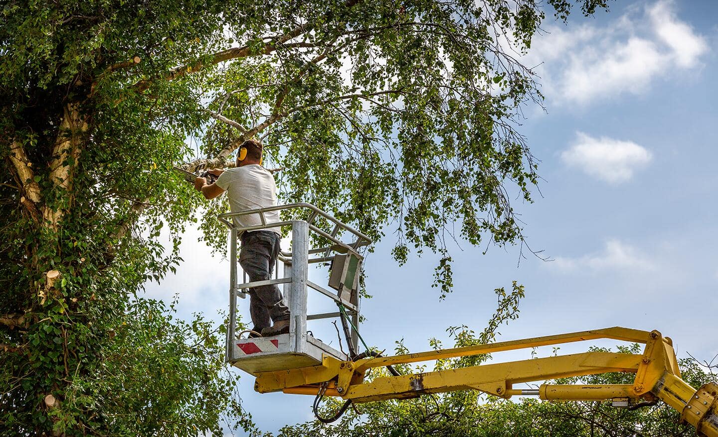 Complete Annual Maintenance Projects with the Right Equipment - The ...