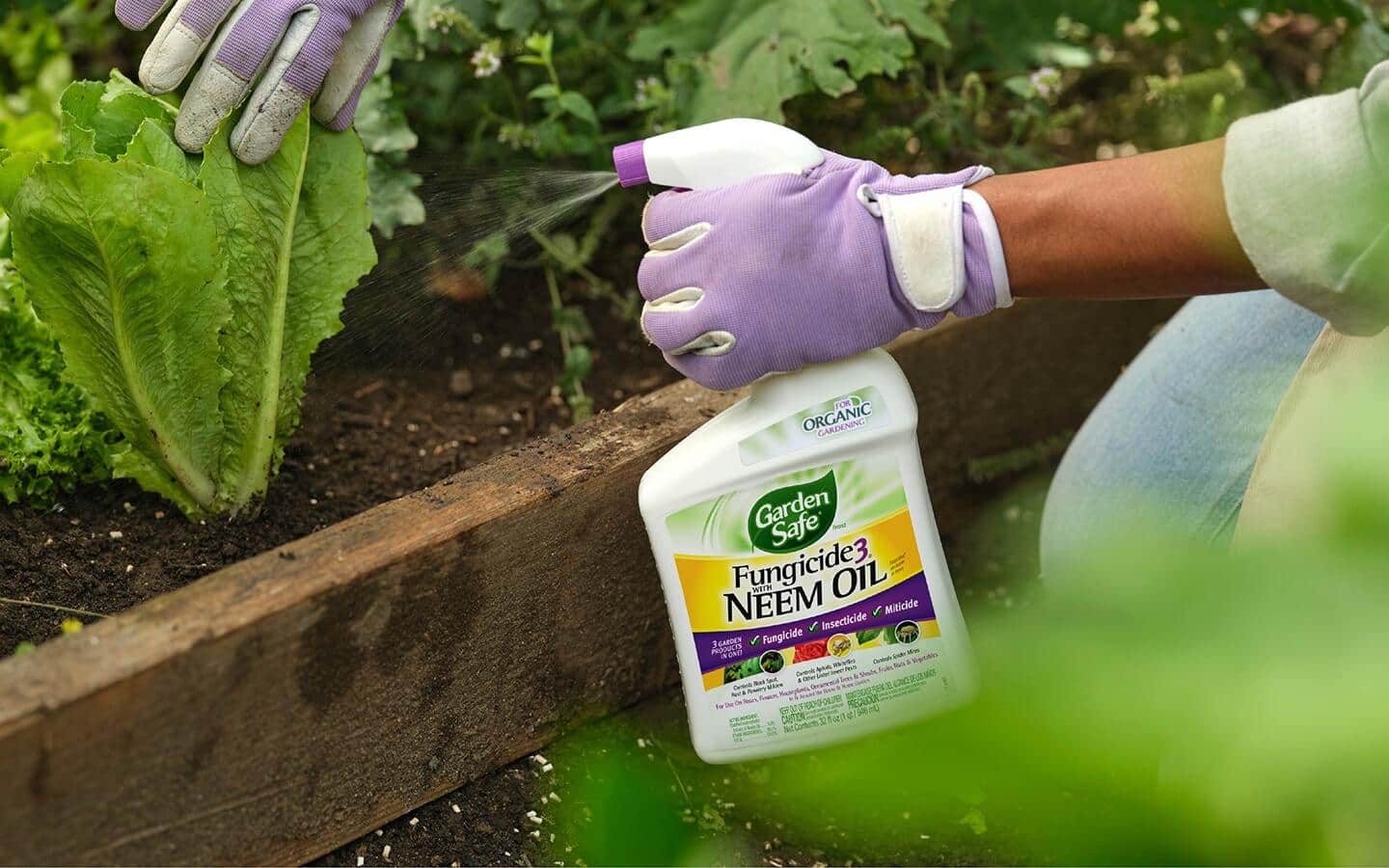 Natural Pest Control for Your Outdoor Spaces - The Home Depot