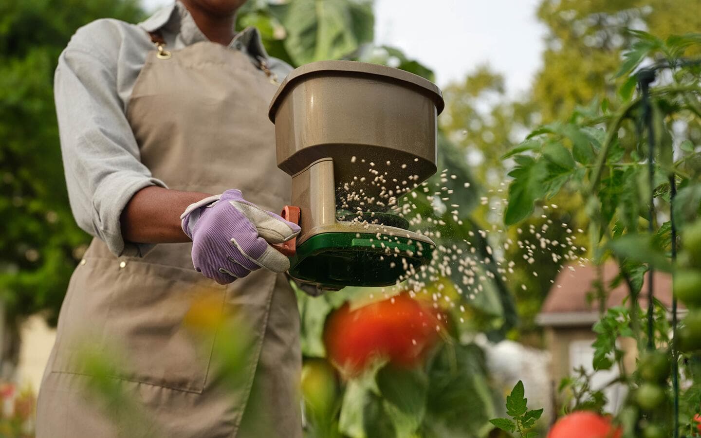 Natural Pest Control for Your Outdoor Spaces - The Home Depot