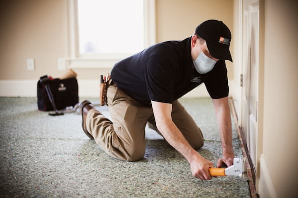 TrafficMaster - Flooring - The Home Depot