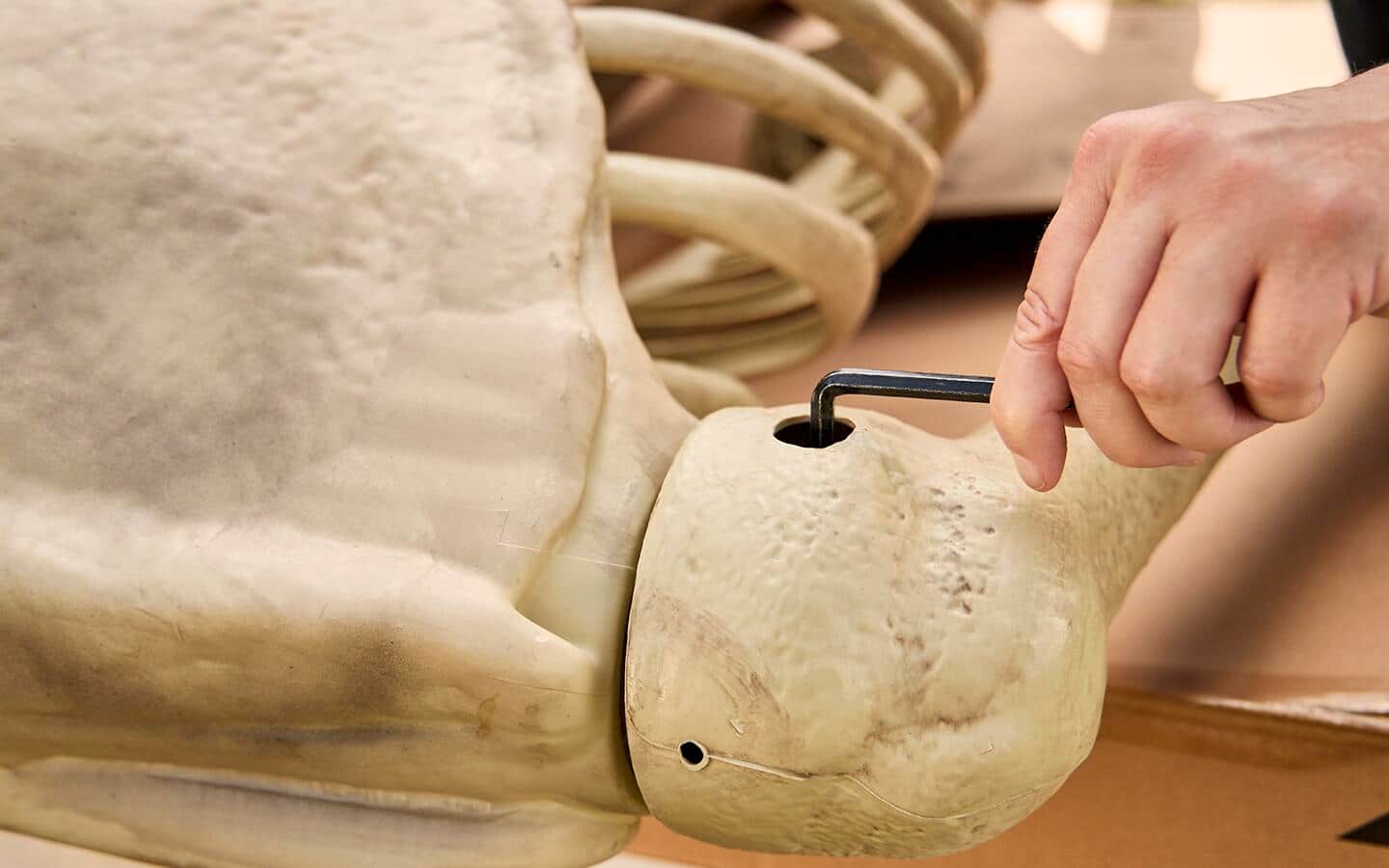 How to Assemble/Disassemble Skelly - The Home Depot
