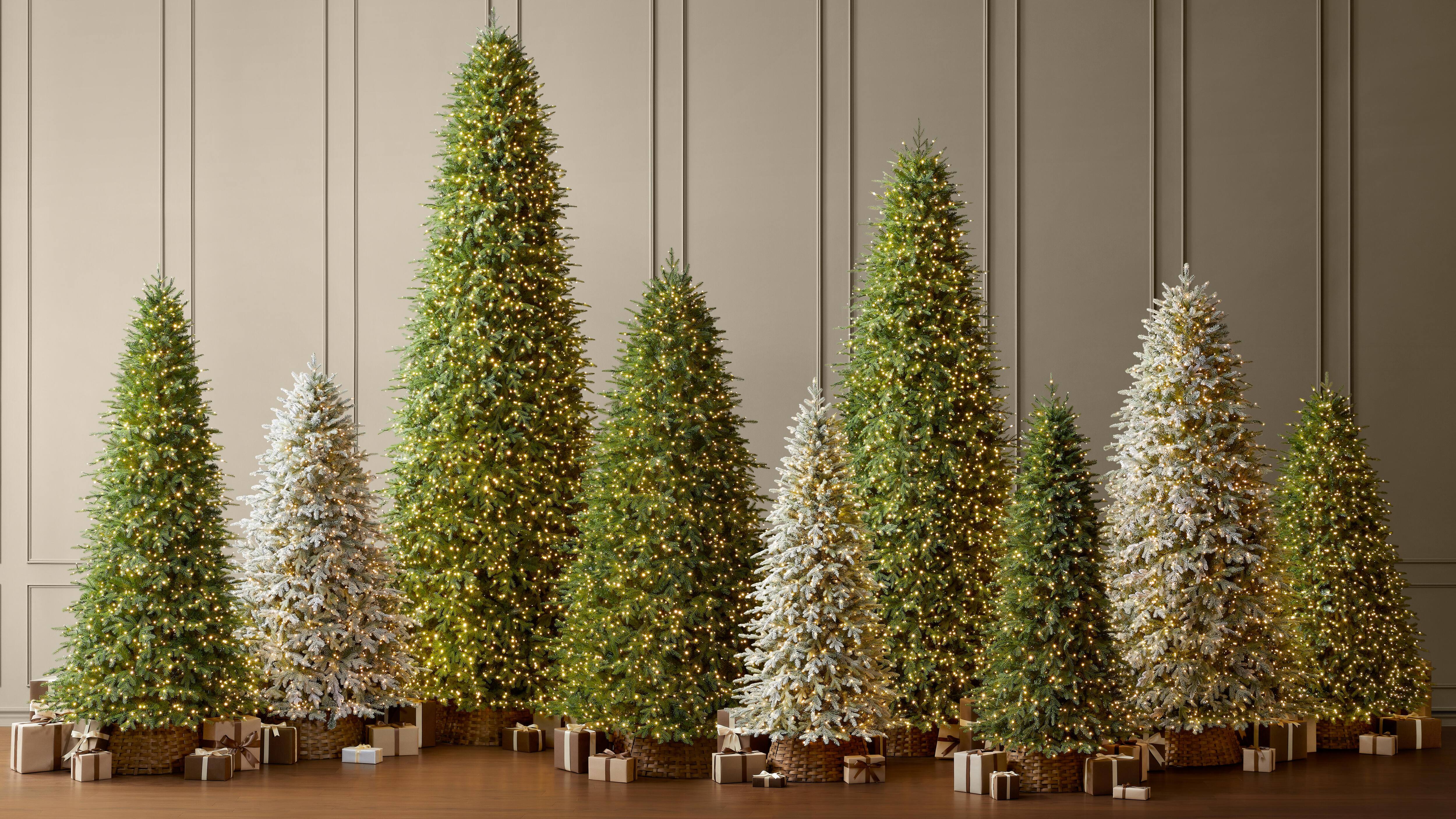 Christmas Trees - The Home Depot