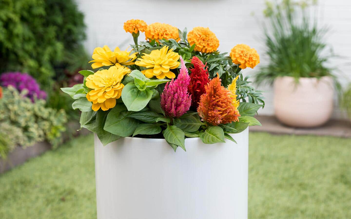 Types of Planters for Your Garden - The Home Depot