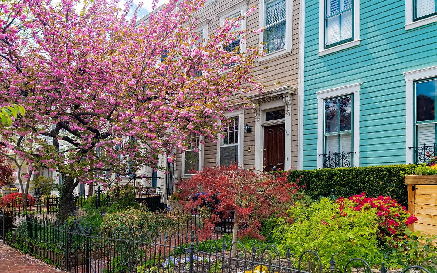 Best Trees For Your Yard - The Home Depot