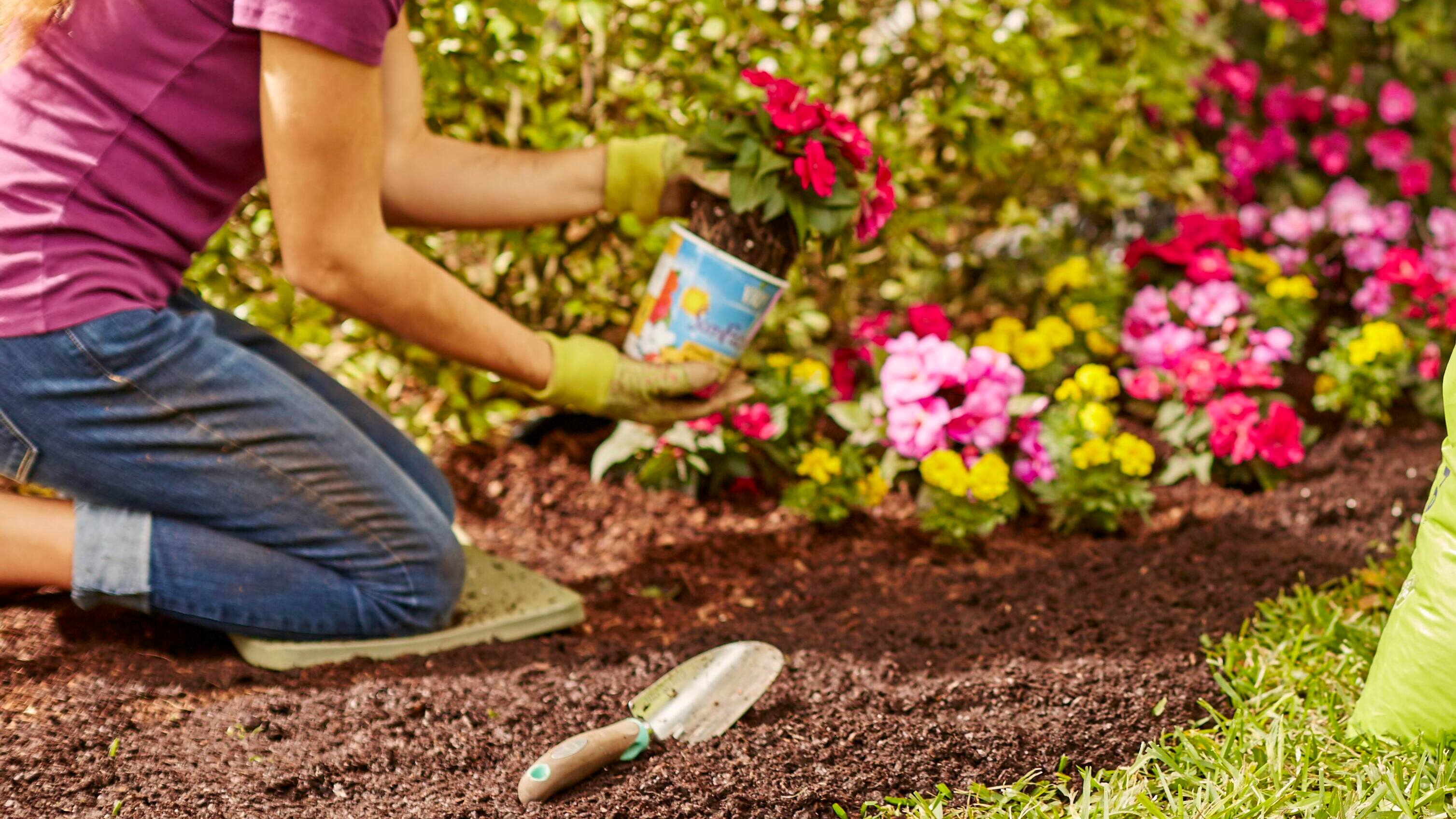 Spring Refresh & Home Projects - The Home Depot