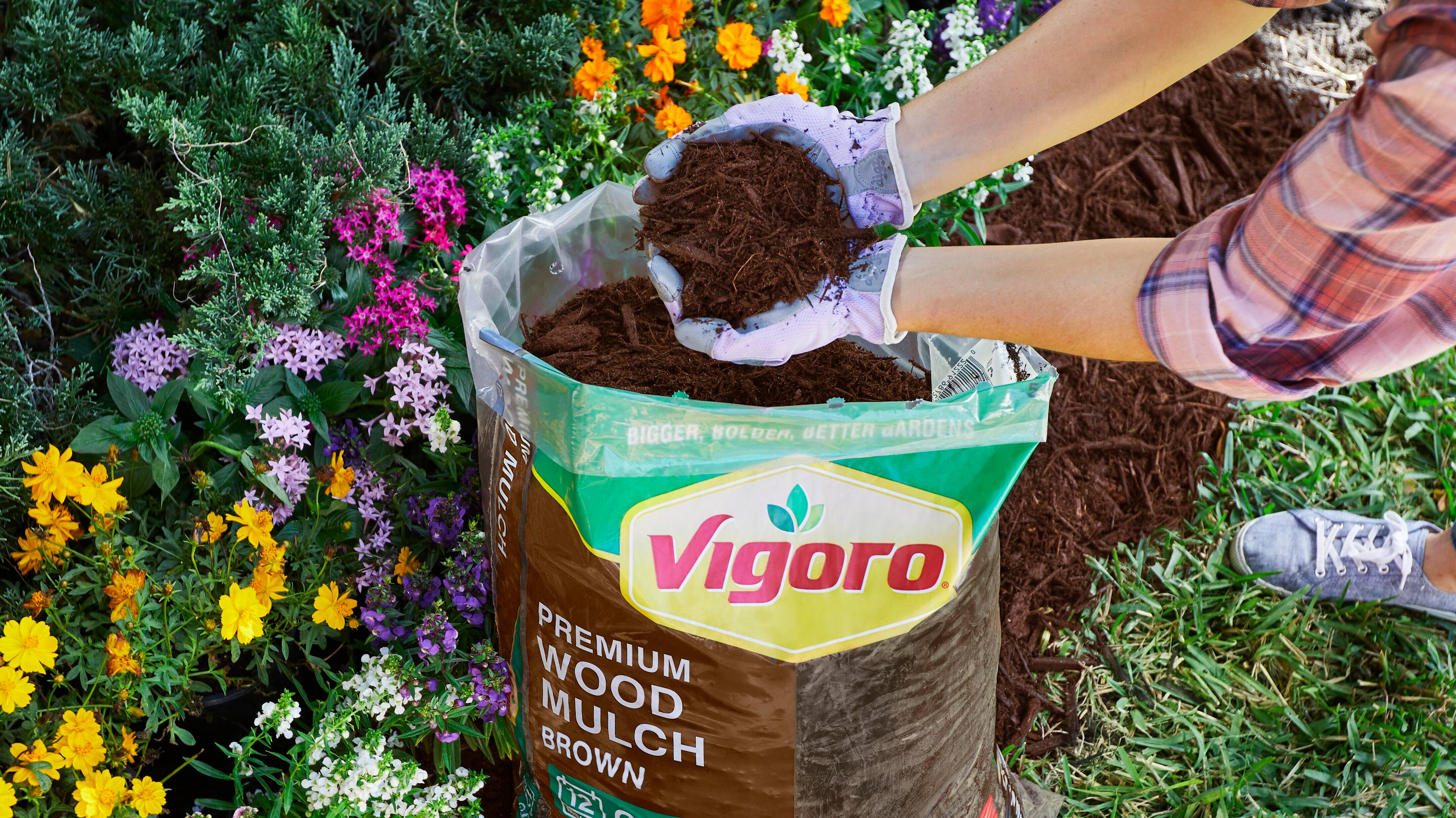 Vigoro - The Home Depot