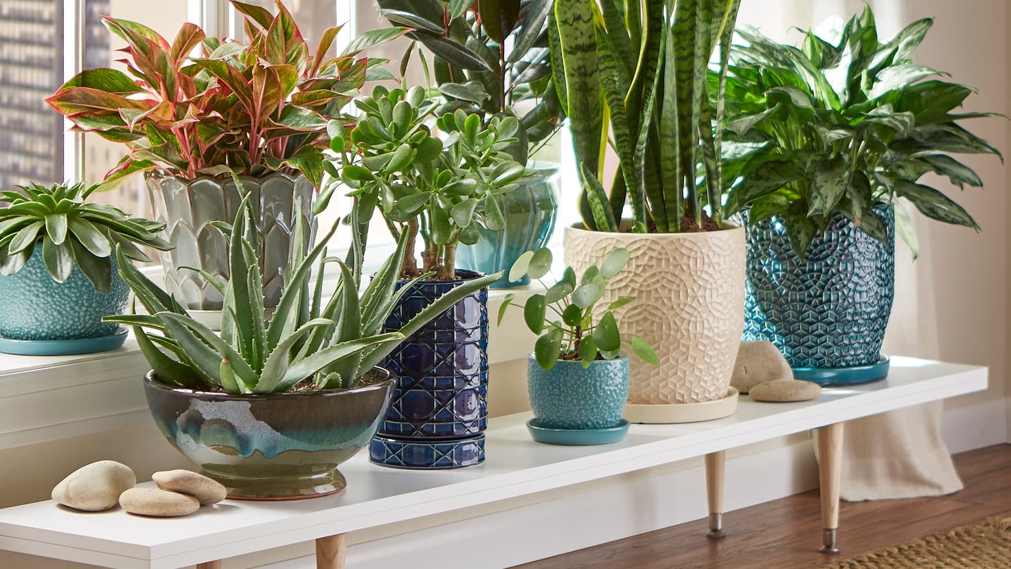 Planters - The Home Depot