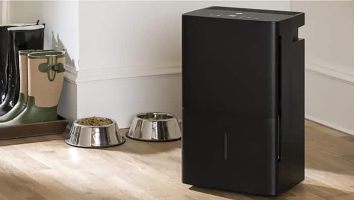 Water Damage Cleanup - The Home Depot