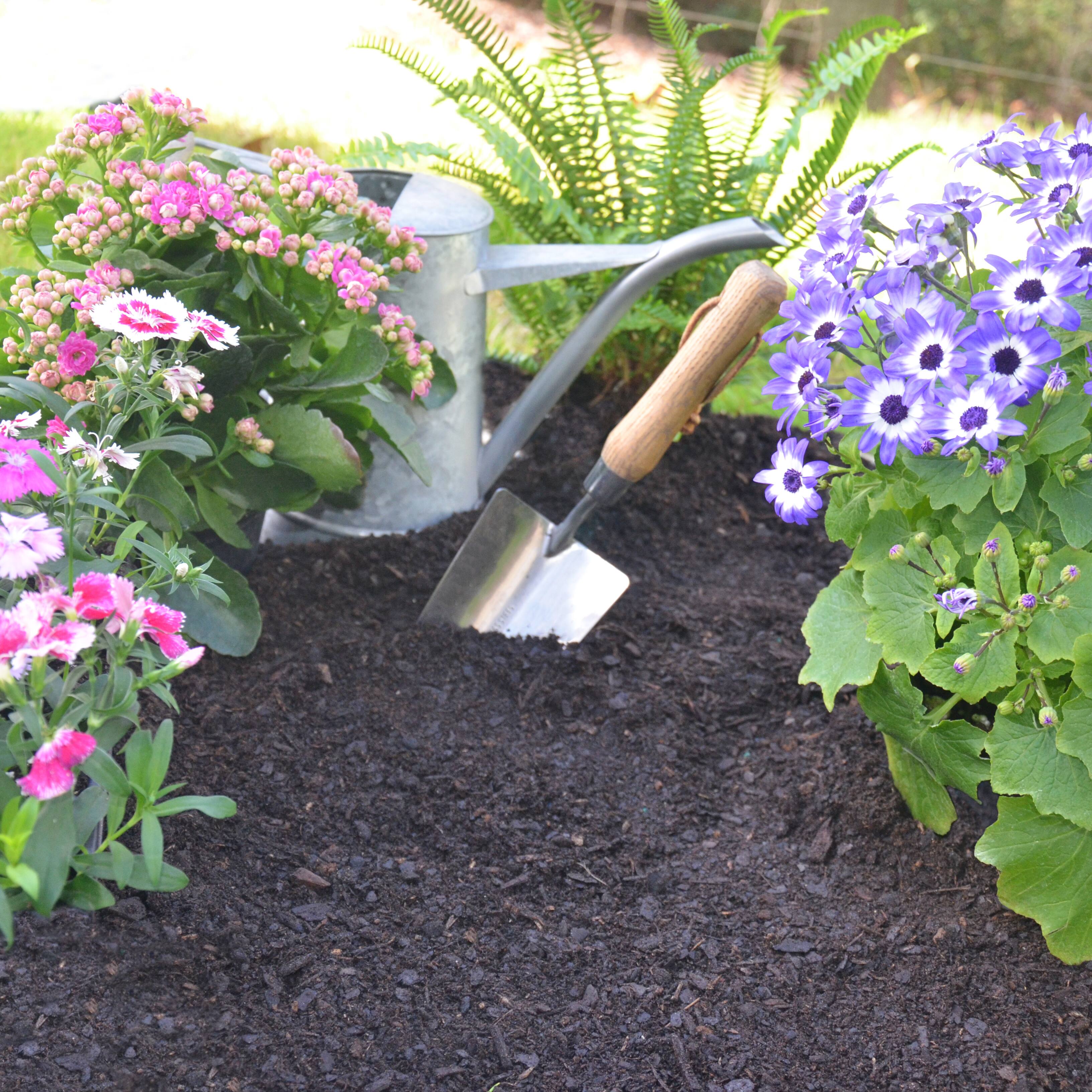 Vigoro - The Home Depot