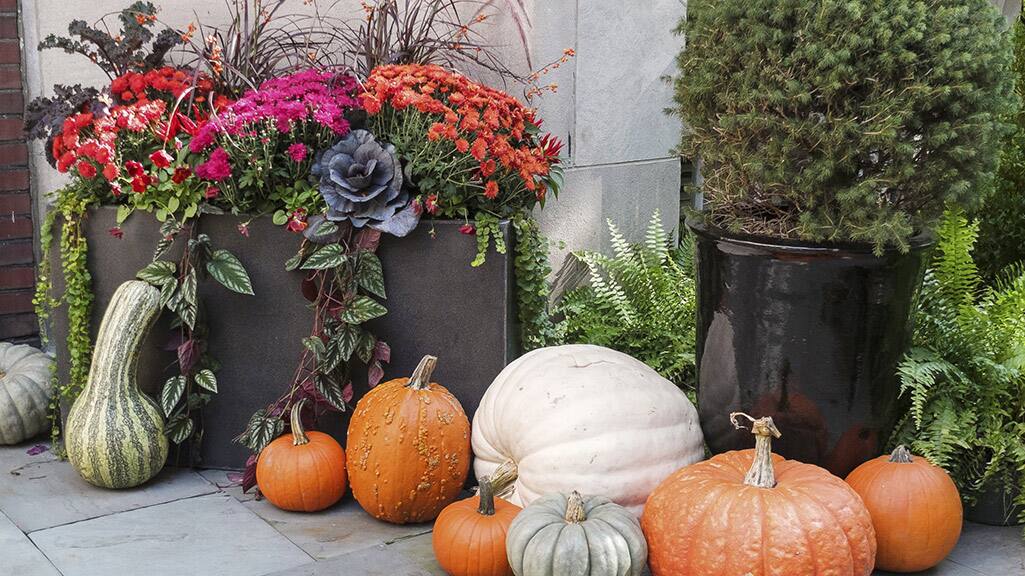 Outdoor Decor - The Home Depot